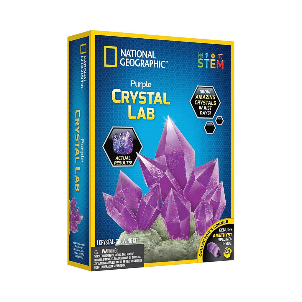 National Geographic Purple Crystal Growing Lab