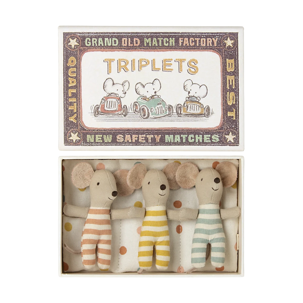 Triplets Baby Mice in Matchbox (2024)